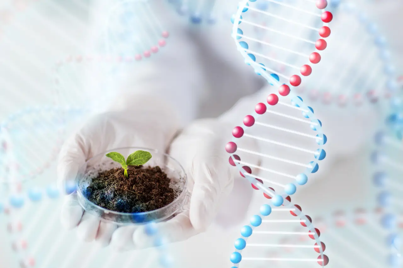 Biotechnologia — co robić po studiach biotechnologicznych? - Poradnik ...