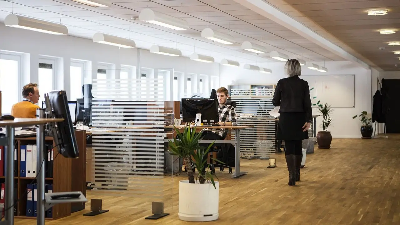 Czym zajmuje się HR? Kluczowe zadania i rola w firmie - Poradnik GoWork.pl